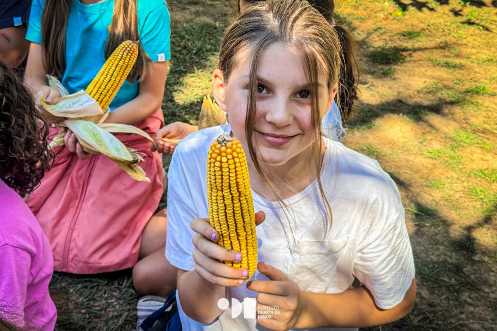 DO MILHO AO PÃO: UMA VIAGEM DE SABERES E SABORES – IDL